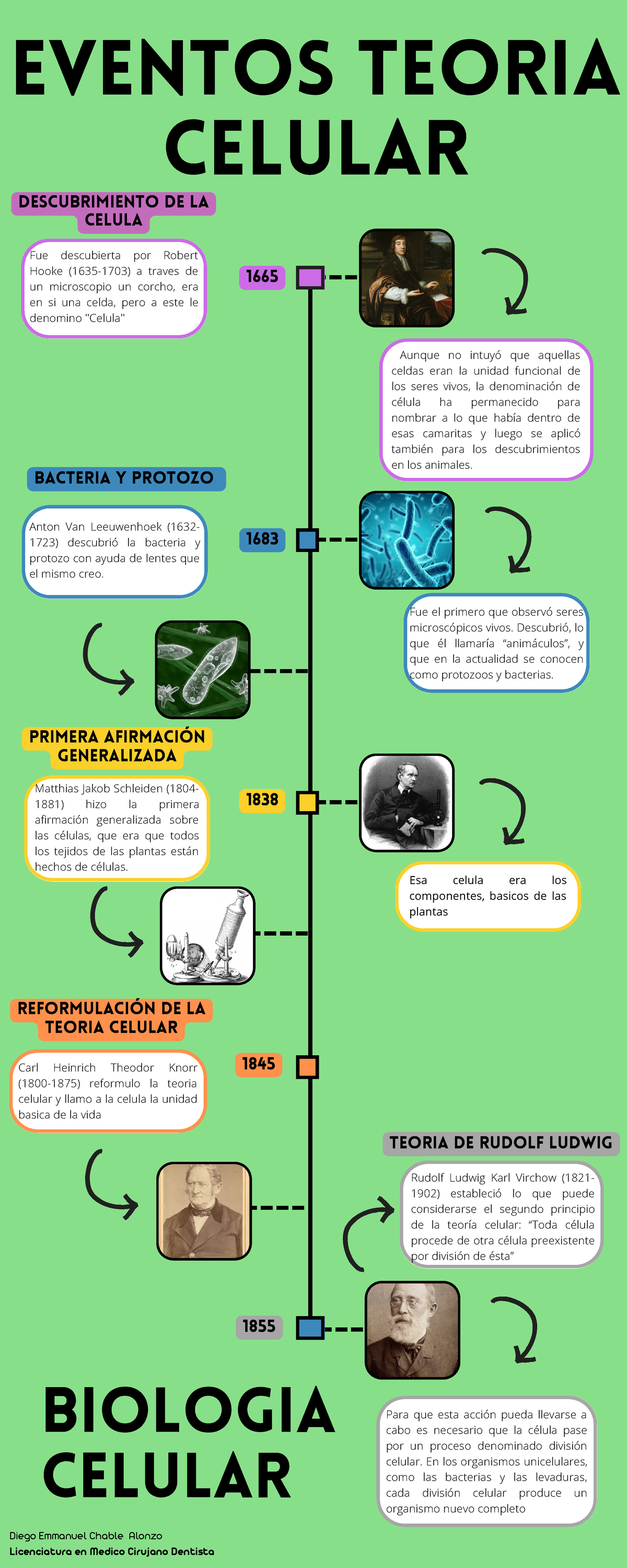Teoria Celular Lineadel Tiempo - EVENTOS TEORIA CELULAR PRIMERA ...