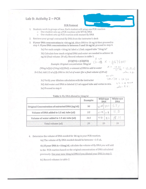 Lab 7 - Activity 2 - F2 Preliminary Analysis - Lab 7: Activity 2 ...