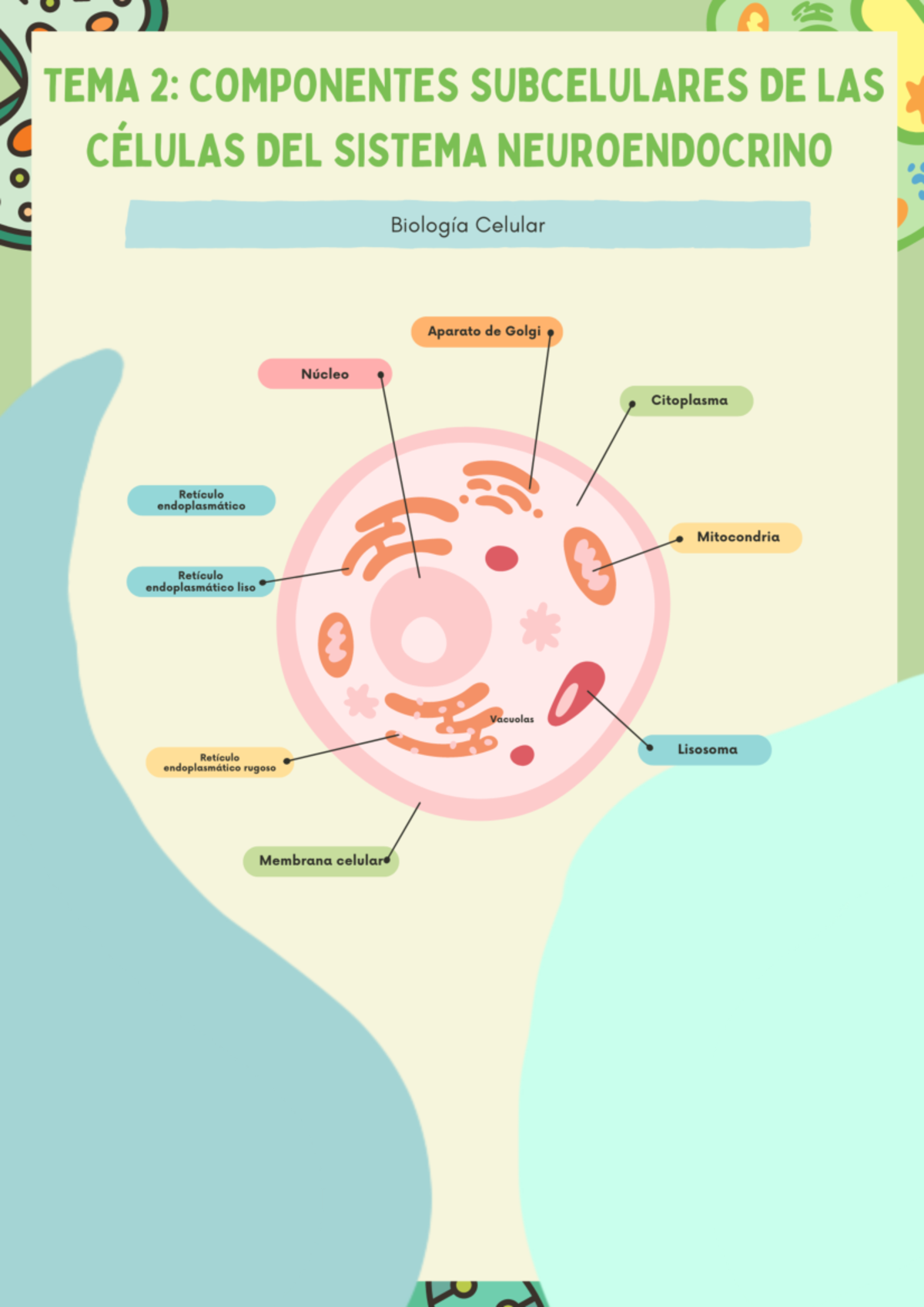 Tema 2 - TEMA 2 - Tema 2.- Componentes subcelulares de las células del ...