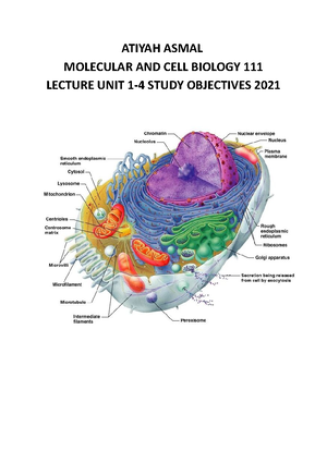 MLB111- Chapter 4 - Summary Molecular and cell biology - Chapter 4- 4 ...