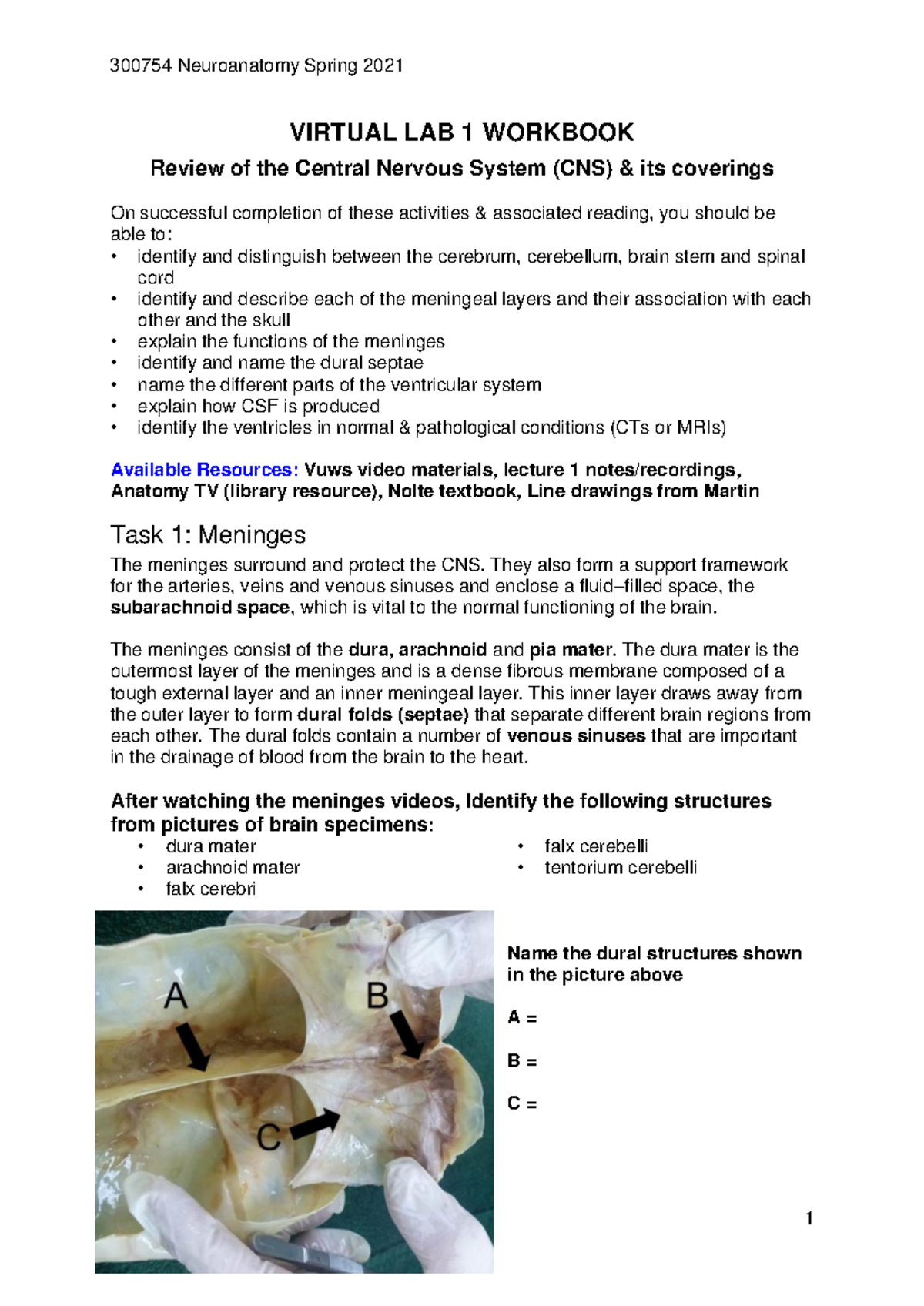 Lab 1 meninges & CSF worksheet - VIRTUAL LAB 1 WORKBOOK Review of the ...