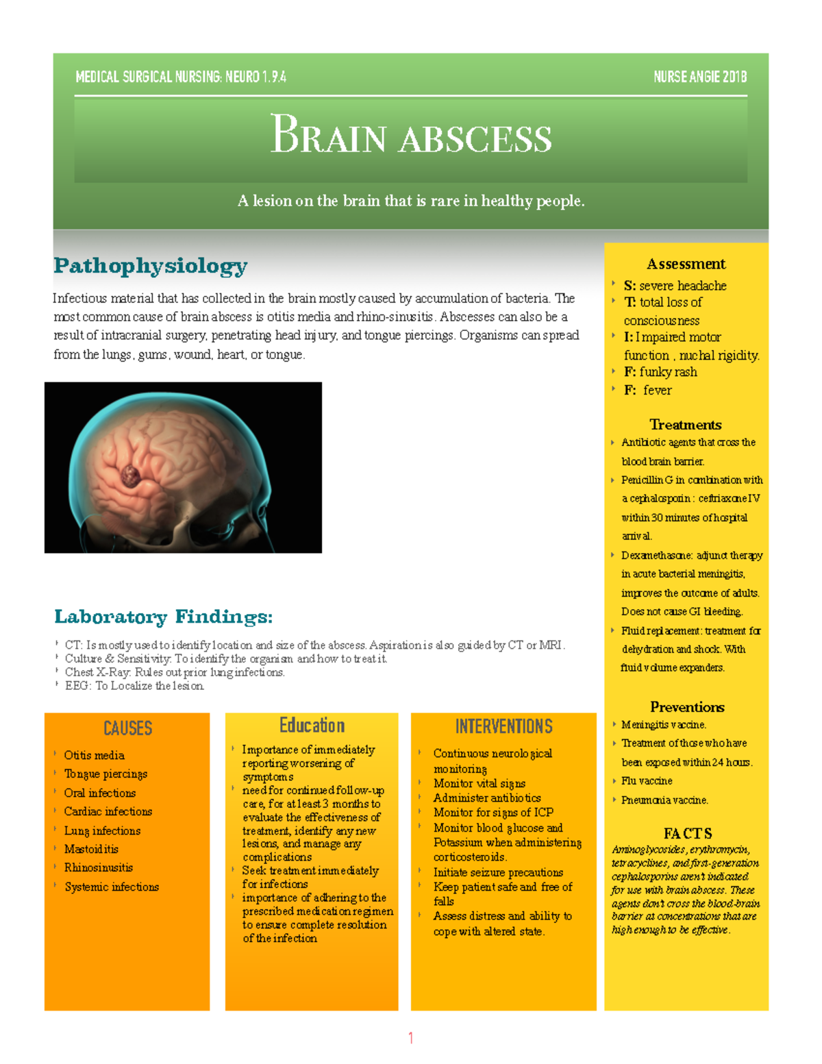 Brain abscess - Health and Illness Across the Lifespan ...