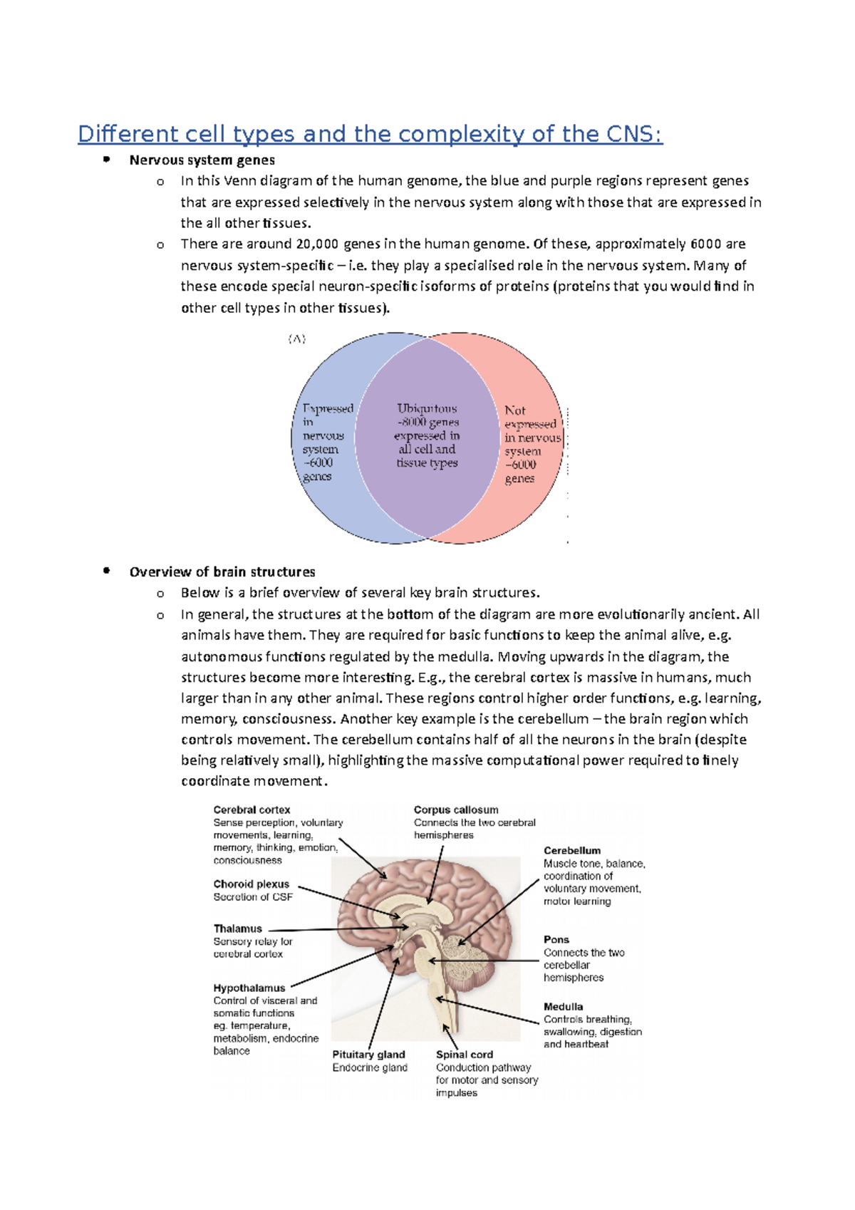 Intro to neuronal cell biology - Different cell types and the ...