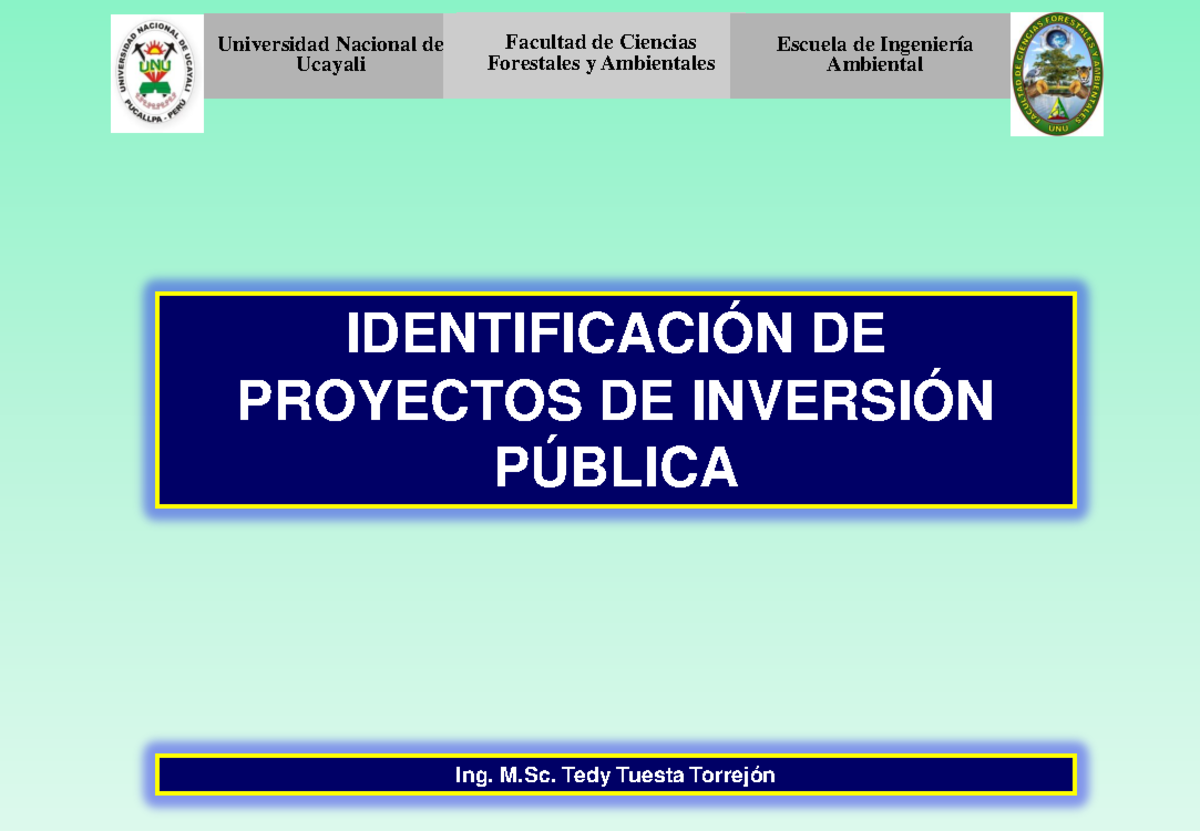proyectos de inversion en el peru - IDENTIFICACIÓN DE PROYECTOS DE ...
