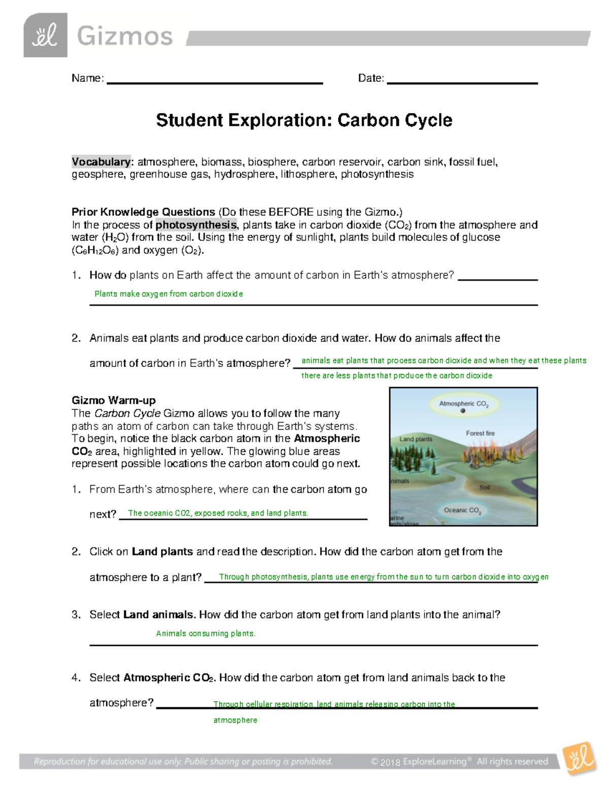 Carbon Cycle SE - Name: Date: Student Exploration: Carbon Cycle ...