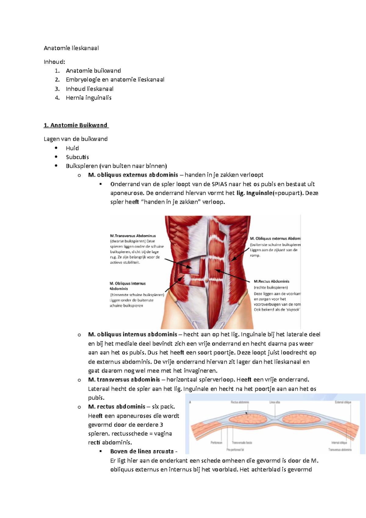 Anatomie lieskanaal samengevat van de vodcast met plaatjes - Anatomie ...