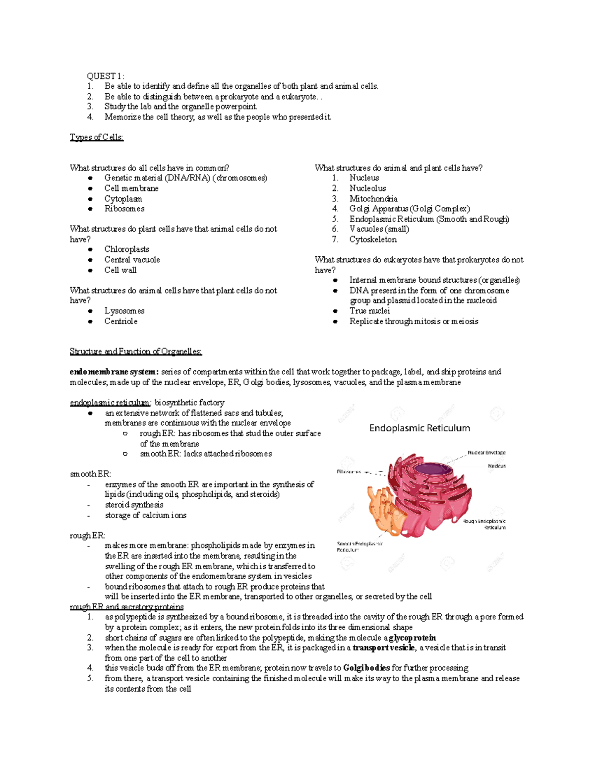 Unit three cell structure and function master notes - QUEST 1: Be able ...