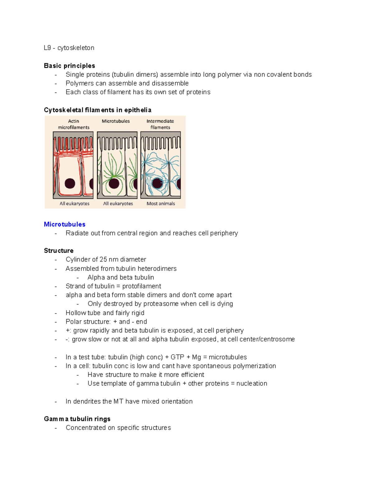 Module 4 notes - cytoskeleton - L9 - cytoskeleton Basic principles ...