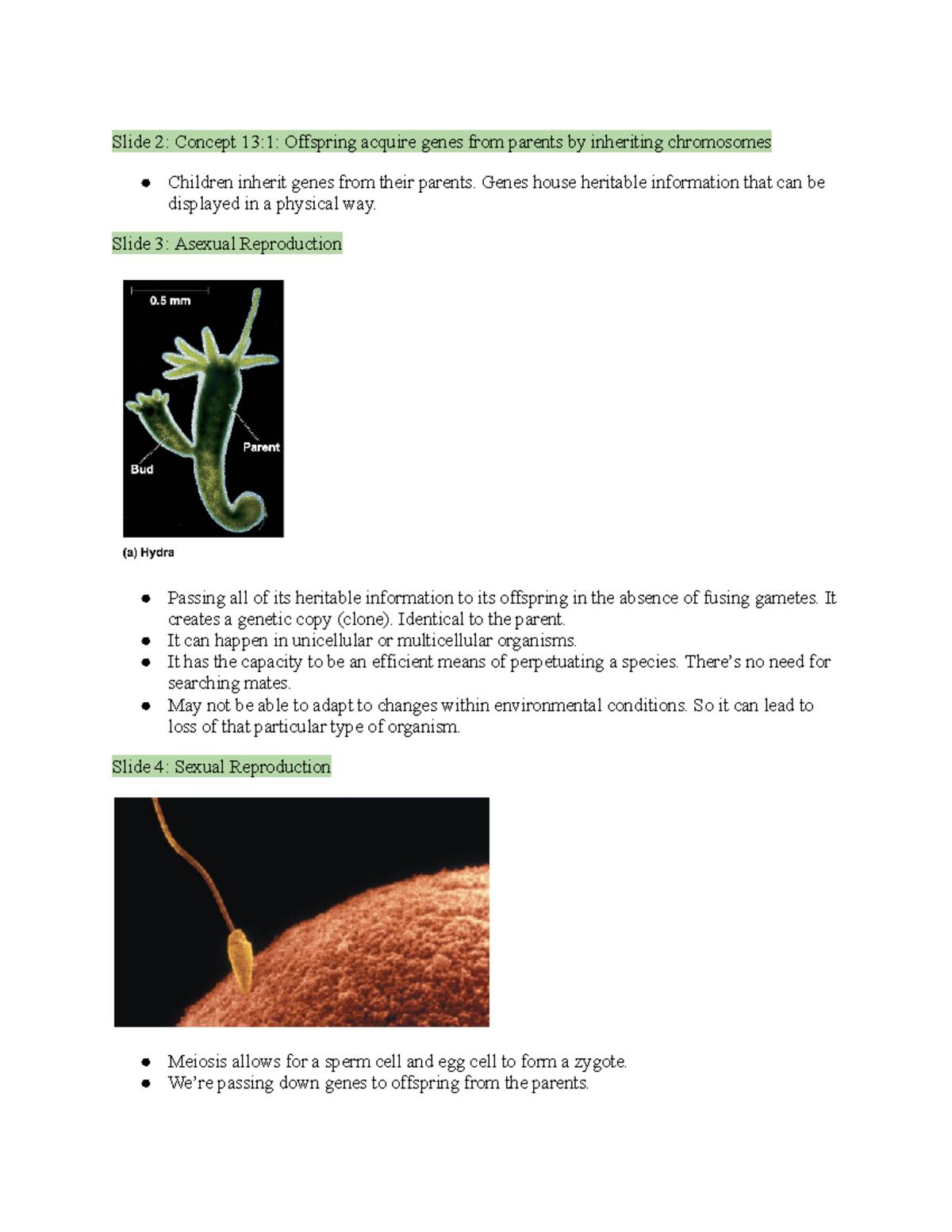 Chapter 13 - Slide 2: Concept 13:1: Offspring acquire genes from ...