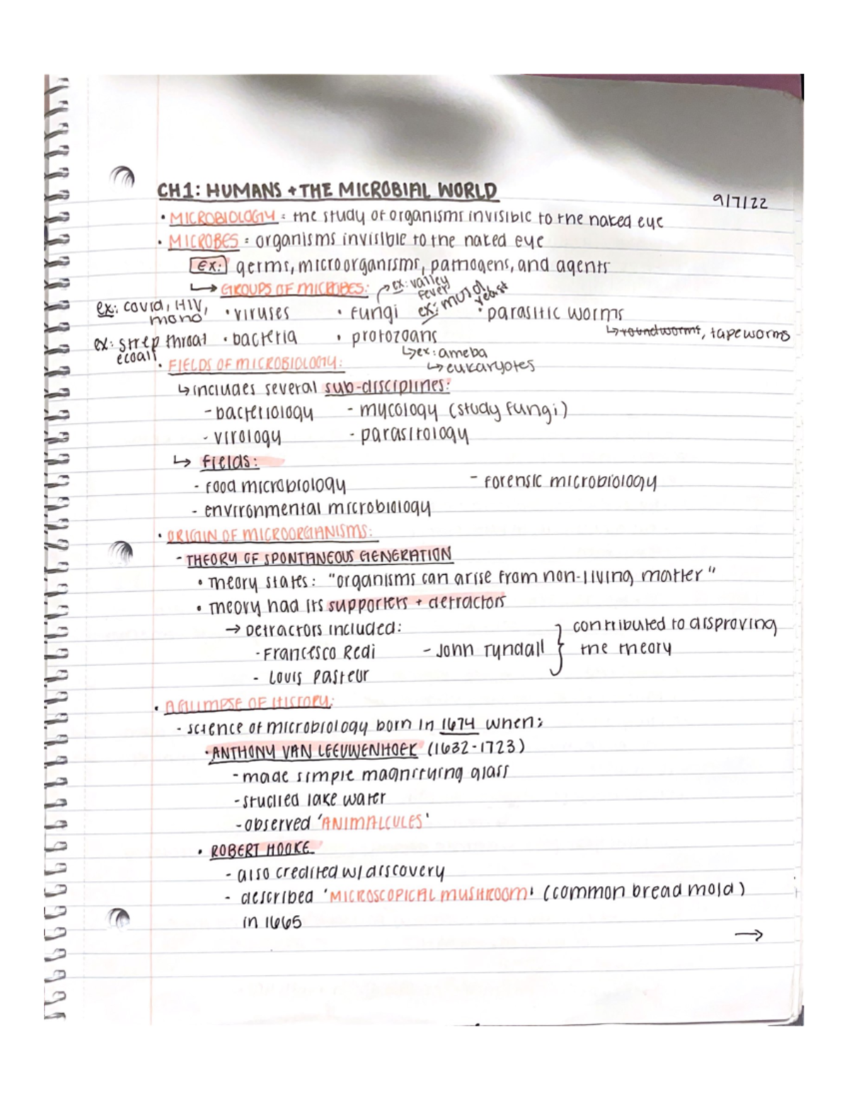 Bound organelles - lecture notes - BIO-215 - Studocu