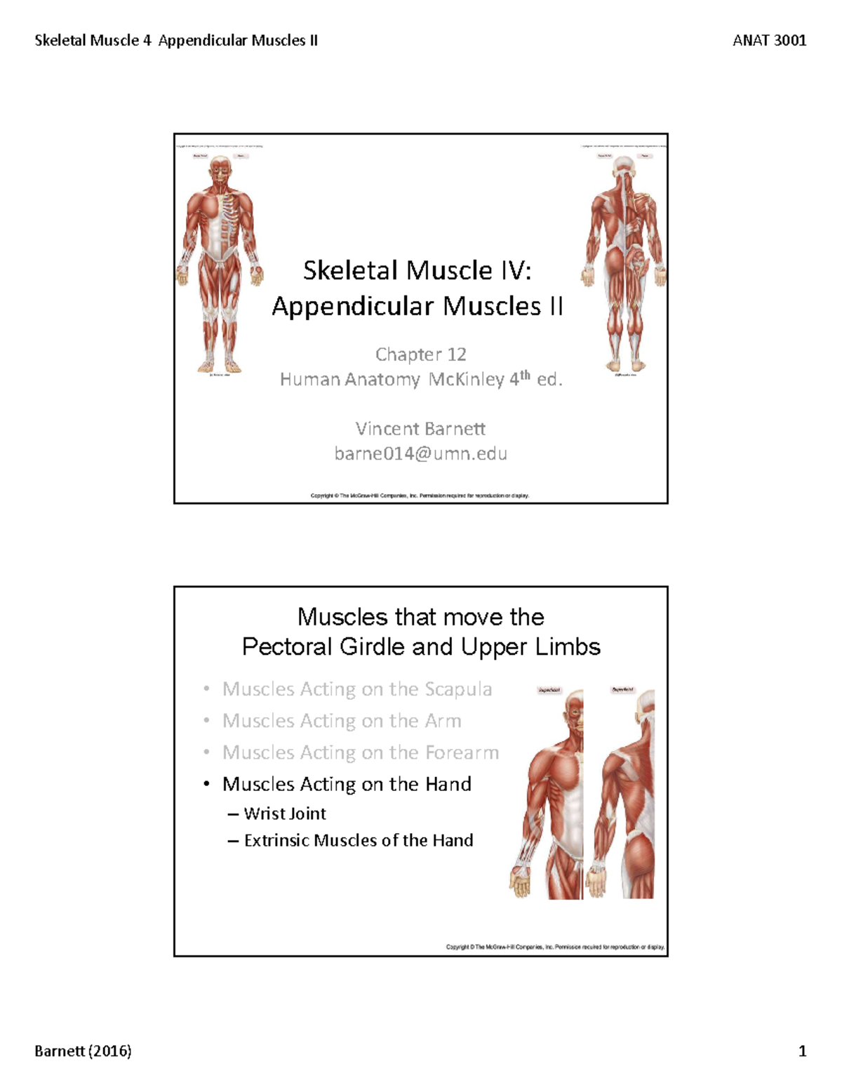 11 Skeletal Muscle 4 Appendicular Muscles II F16-2 - Warning: TT ...