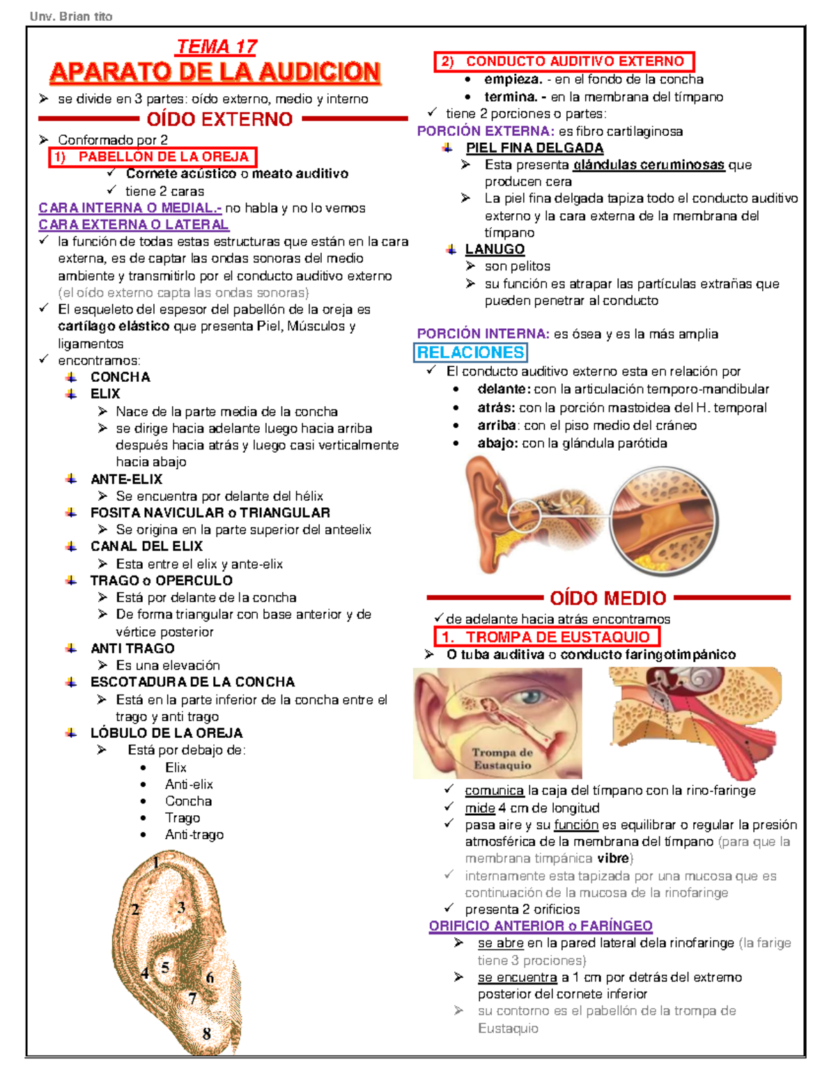 Conducto auditivo - Unv. Brian tito TEMA 17 se divide en 3 partes: oído ...