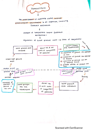 LAB Report Experiment 3(b) Energy - EXPERIMENT 3 (b) : ENERGY 1. TITLE ...