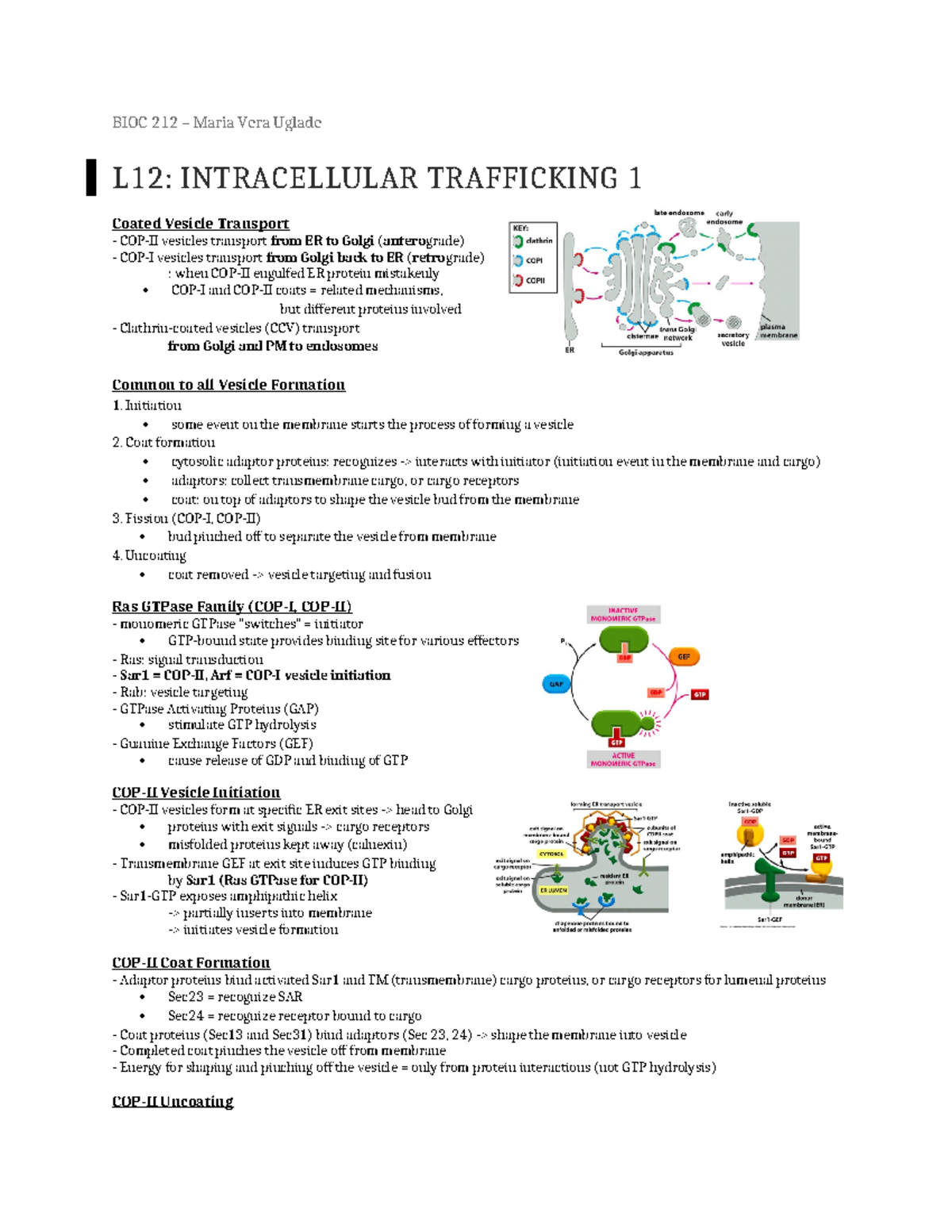1 MVU L12 - Intracellular Trafficking 1 - BIOC 212 – Maria Vera Uglade ...