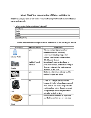 Check your understanding 1 - M1A1: Module 1 Check Your Understanding ...