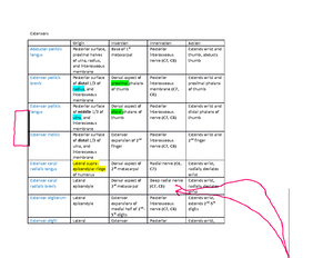 Unit 3 AOI's - Anatomy for PT- lecture notes for unit 3 AOIs ...