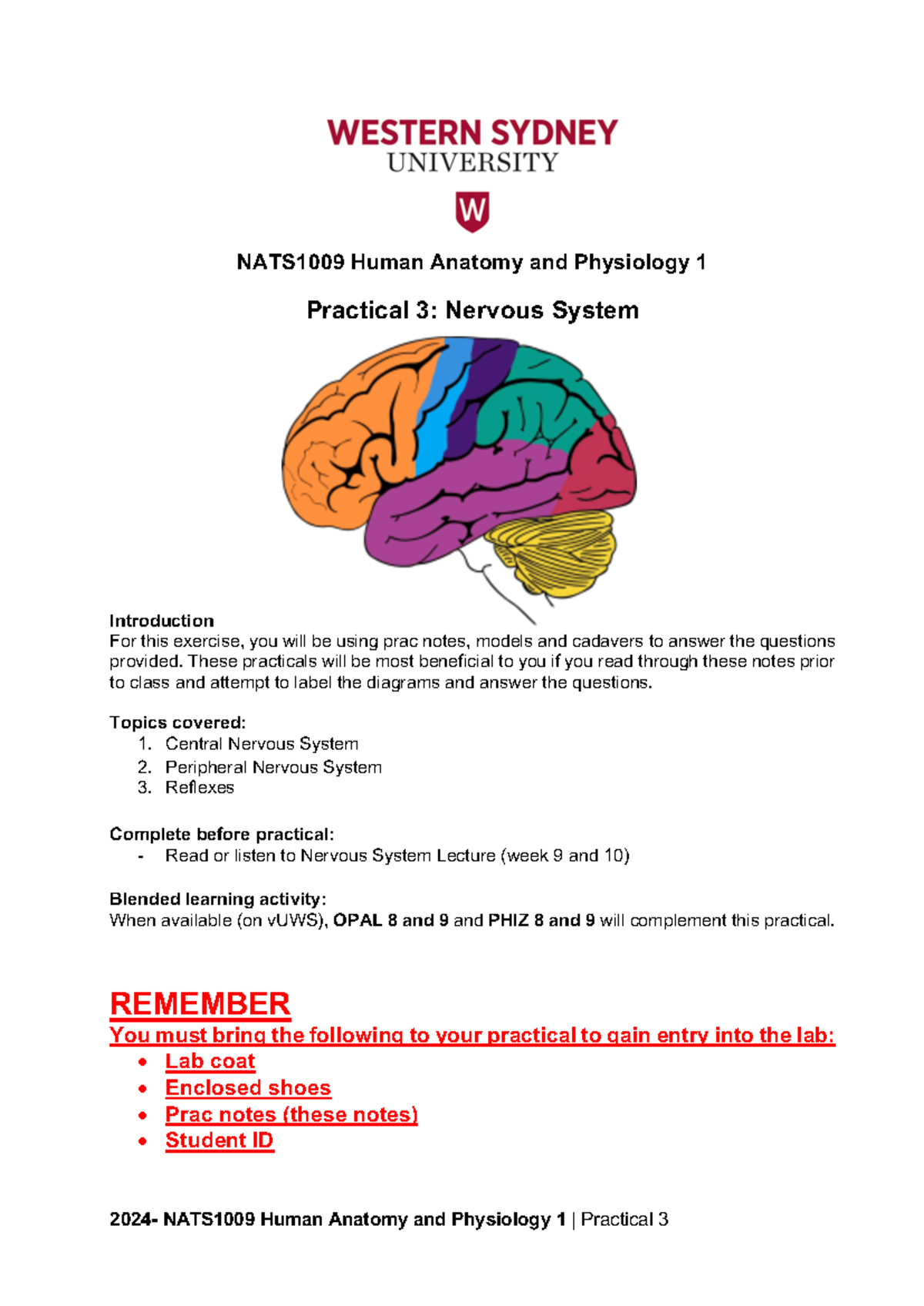 Practical 3 - Nervous system - NATS1009 Human Anatomy and Physiology 1 ...