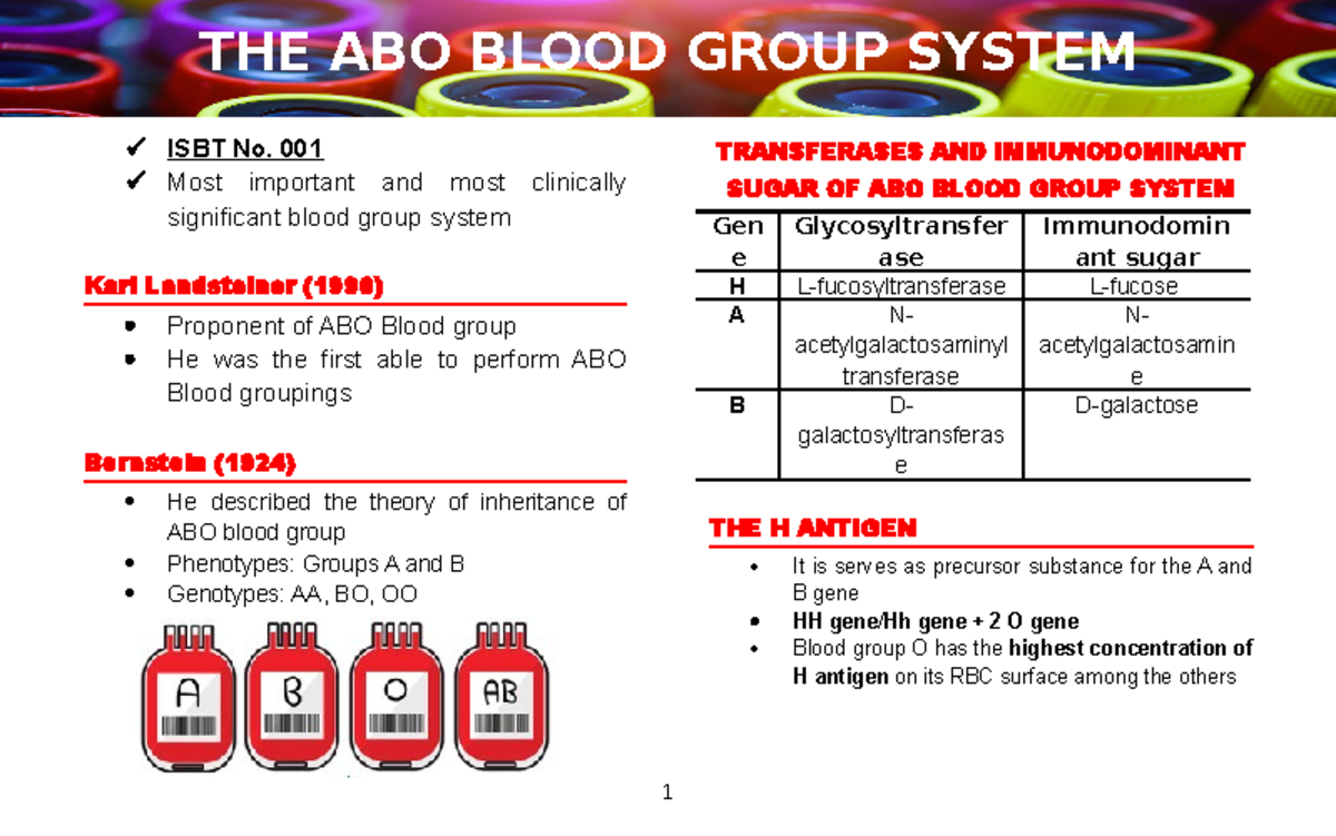 BB LEC Final Requirement - THE ABO BLOOD GROUP SYSTEM ISBT No. 001 Most ...