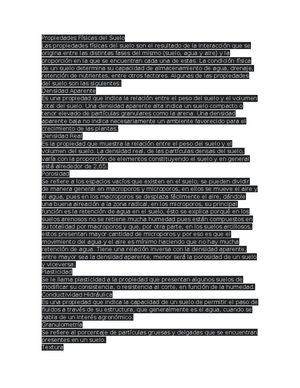 Morfología DEL Mango - MORFOLOGÍA DEL MANGO RAÍZ El mango tiene una ...