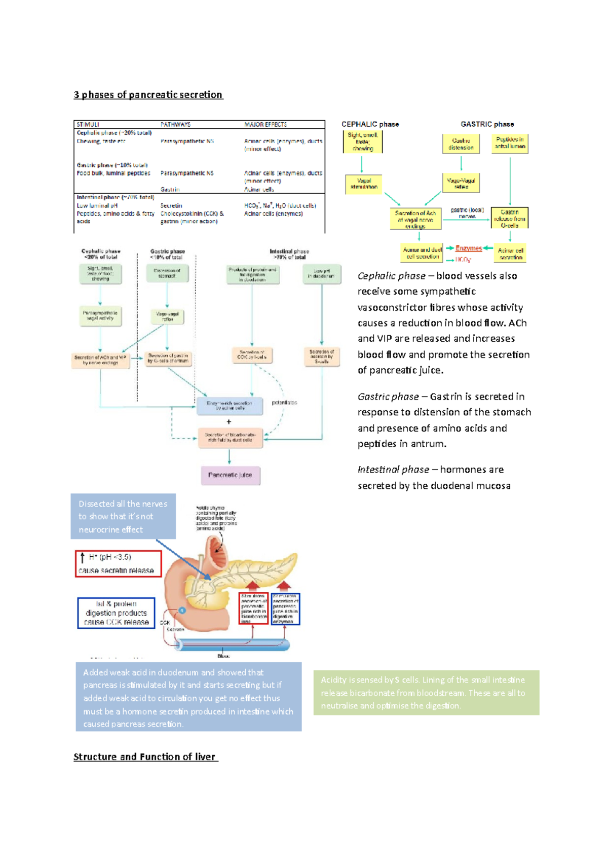 3 phases of pancreatic secretion 9 - 3 phases of pancreatic secretion ...