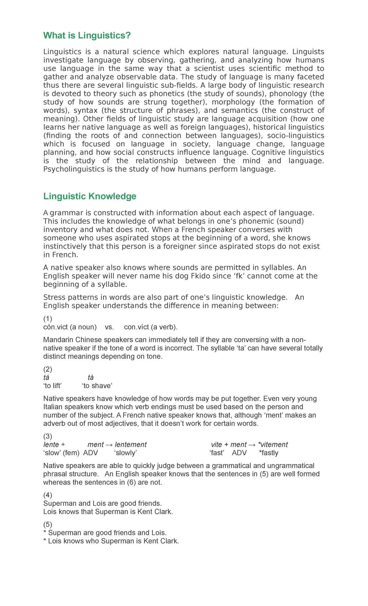 What-is-Linguistics - linguistics - What is Linguistics? Linguistics is ...