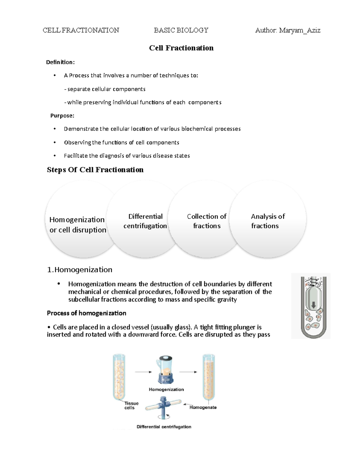 Cell Fractionation - Notes - CELL FRACTIONATION BASIC BIOLOGY Author ...