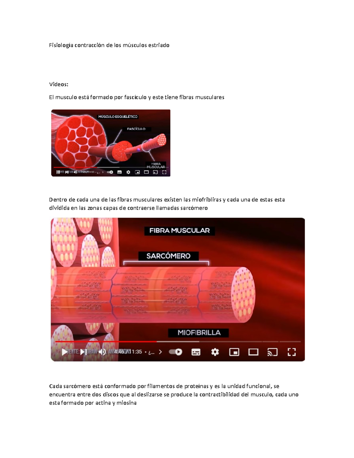 Fisio muculo estriado - Fisiología contracción de los músculos estriado ...