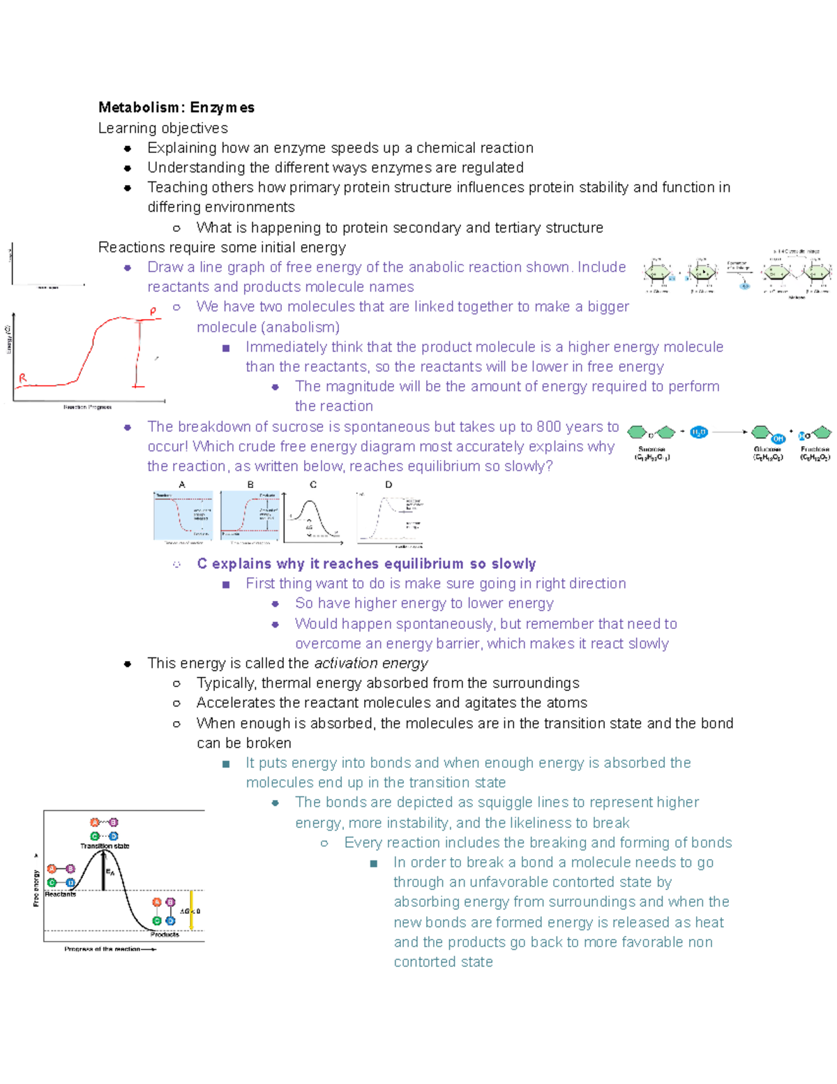 MCDB 1A Metaboloism + Cellular Respiration - Metabolism: Enzymes Learning objectives Explaining ...
