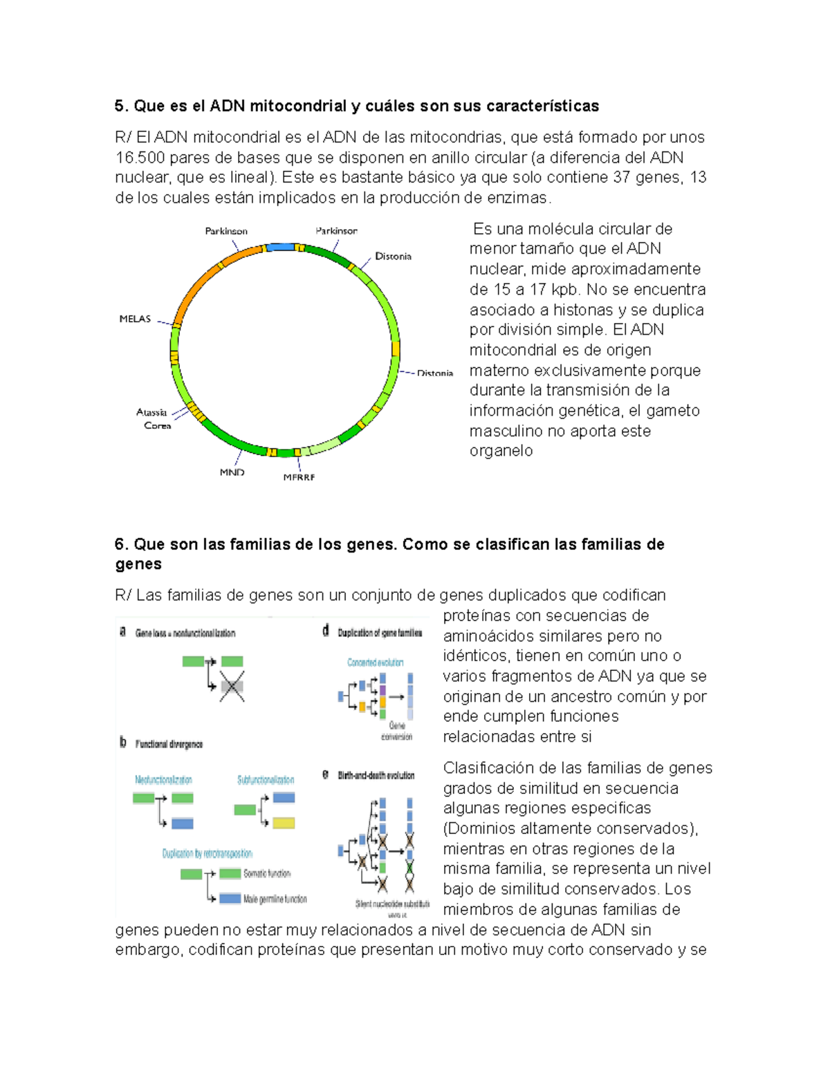 5 - microarreglo - 5. Que es el ADN mitocondrial y cuáles son sus características R/ El ADN ...