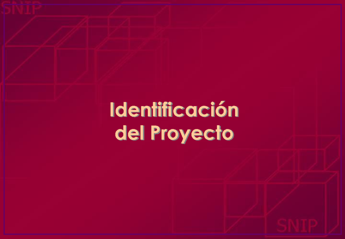 2.1 Ejemplo Identificacion 21 - IdentificaciÛn del Proyecto Proceso de ...
