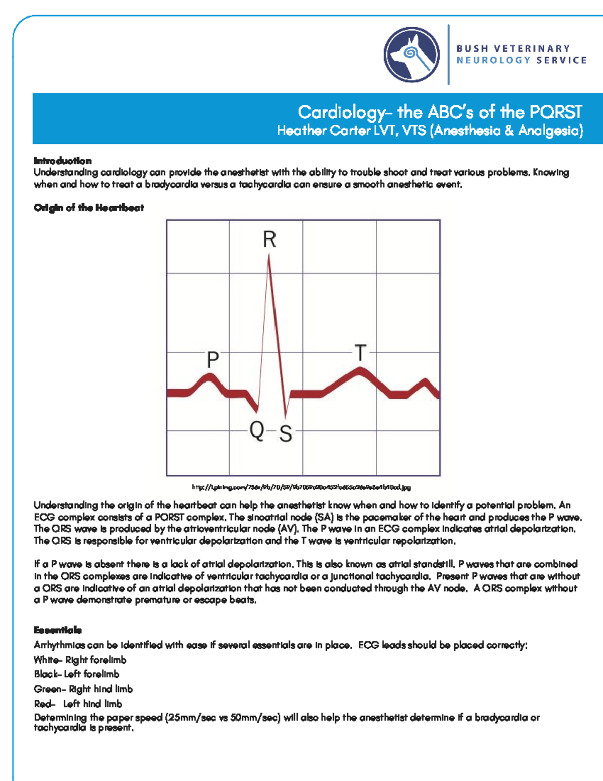 Cardiology the ABC’s of the Pqrst - Introduction Understanding ...