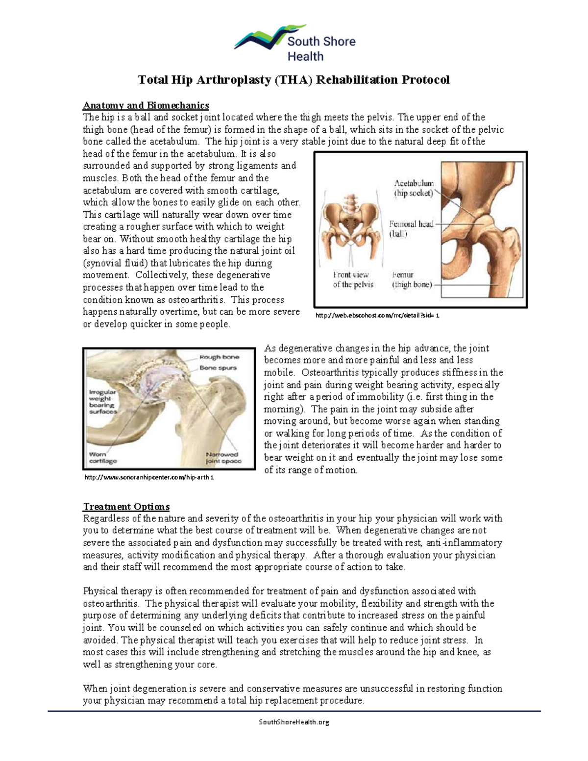 THA-Protocol-2019 - Total hip arthroplasty protocol - Total Hip ...