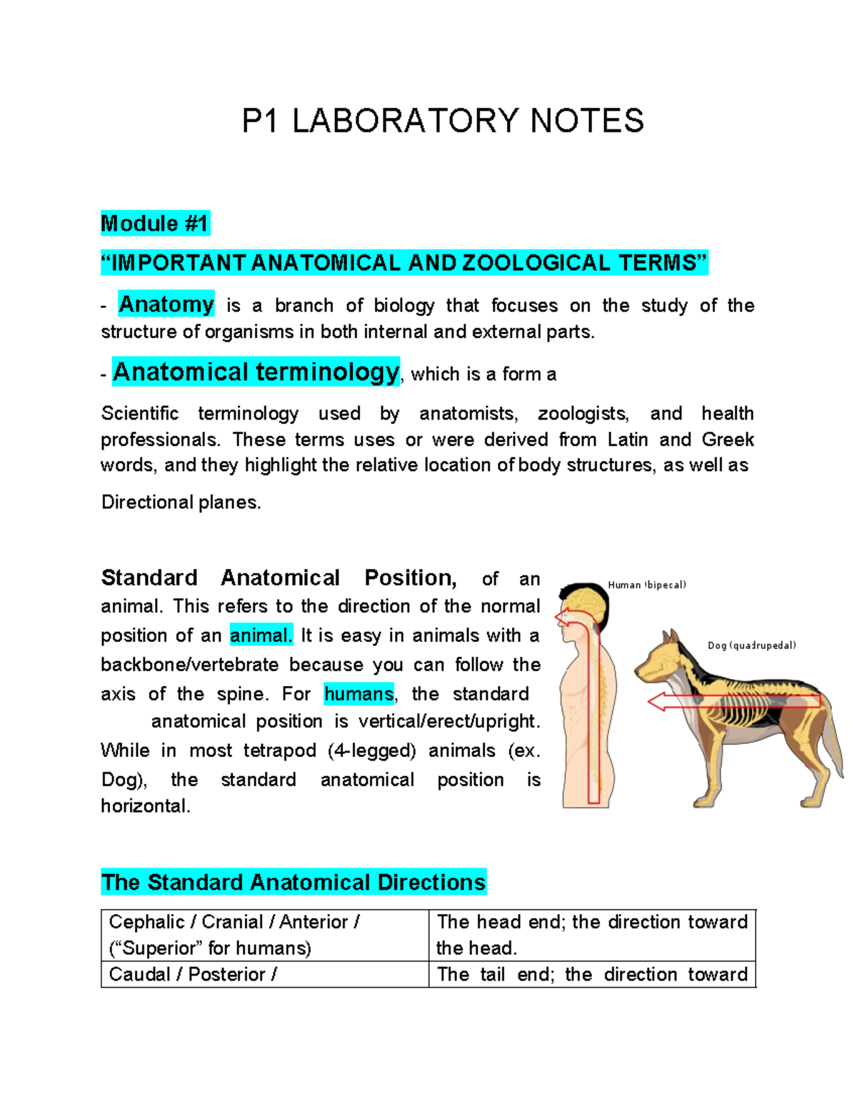 P1 Laboratory Notes - P1 LABORATORY NOTES Module “IMPORTANT ANATOMICAL ...