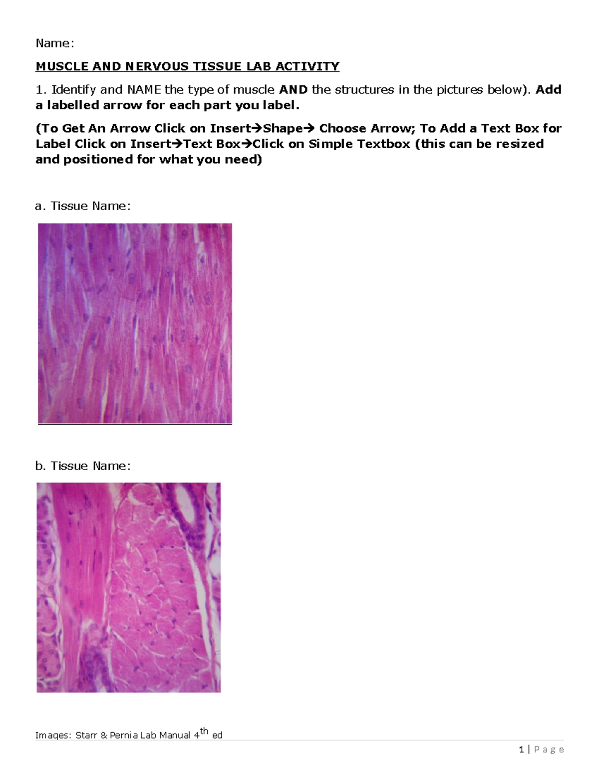 Medical Learner Histology Nervous Tissue 1st Year Medical Learner Histology Nervous Tissue 1st Year