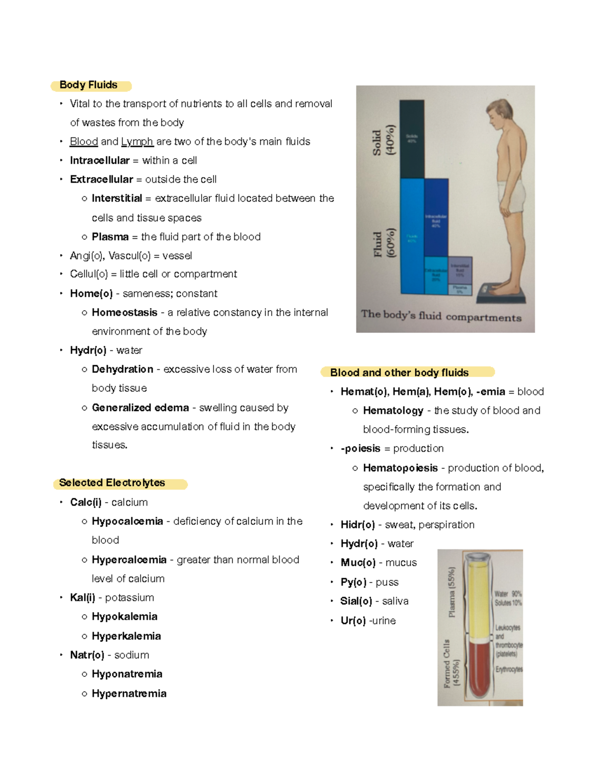 Chapter 3 Body Fluids and Immunity - Body Fluids Vital to the transport ...