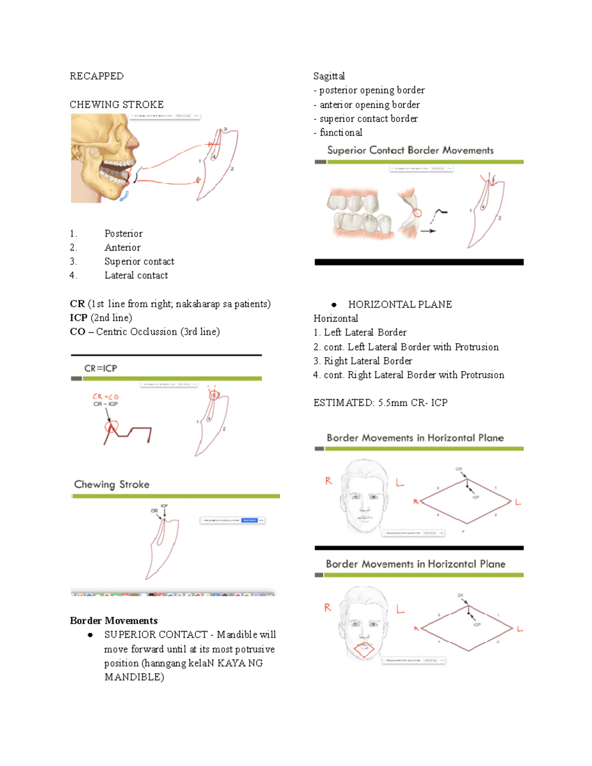 ORAL Physiology - Lecture notes 1-10 - RECAPPED CHEWING STROKE ...