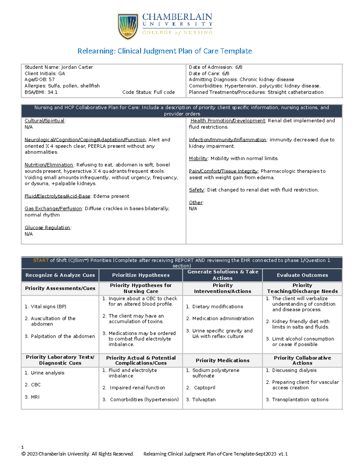 Chronic kidney disease plan of care - Student Name: Jordan Carter ...