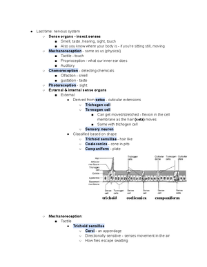 2 1 Lecture Conservation, integument + cuticle morphology ...