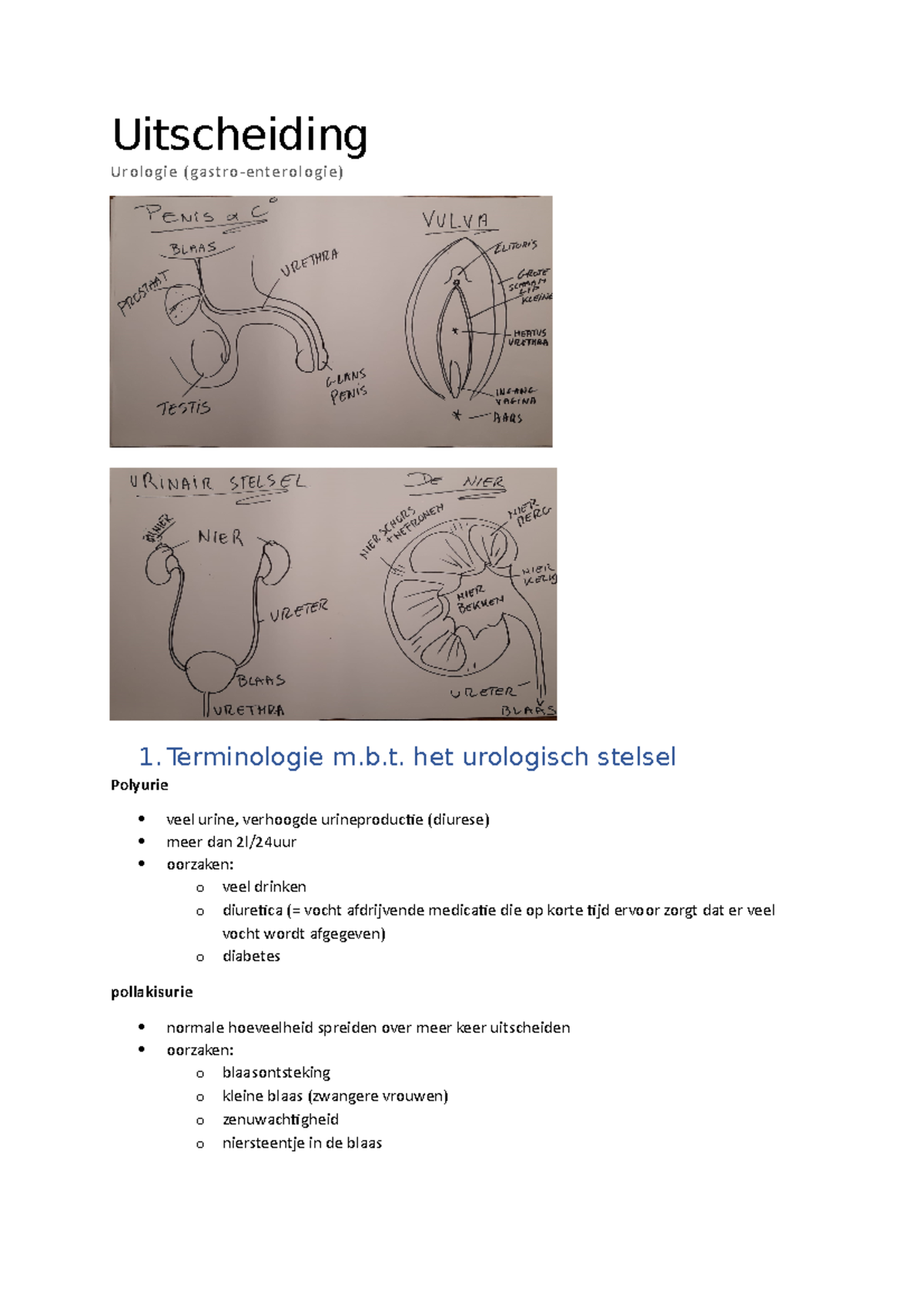 Samenvatting urologie - Uitscheiding Urologie (gastro-enterologie) 1 ...