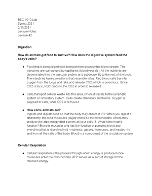 BSC 1010 Laboratory Lecture #4 - BSC 1010 Laboratory Spring 2021 2/25 ...
