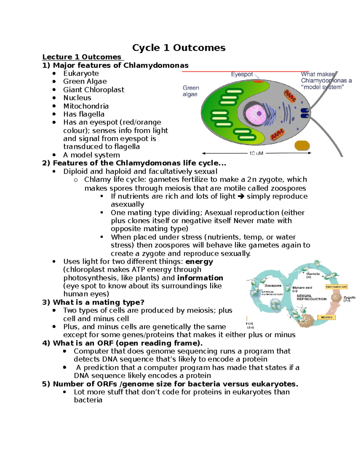 Cycle 1 Outcomes for the haffie unit. - Cycle 1 Outcomes **Lecture 1 ...
