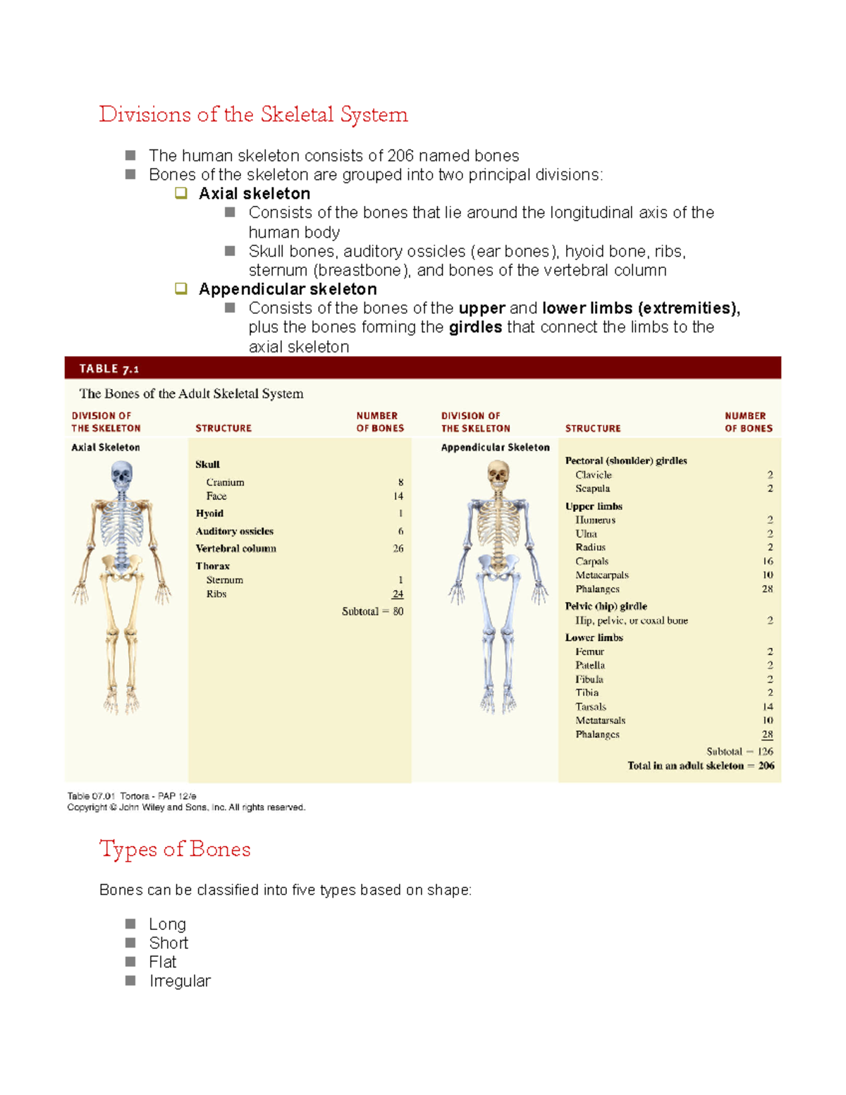 5 - anatomy and physiology notes - Divisions of the Skeletal System The ...