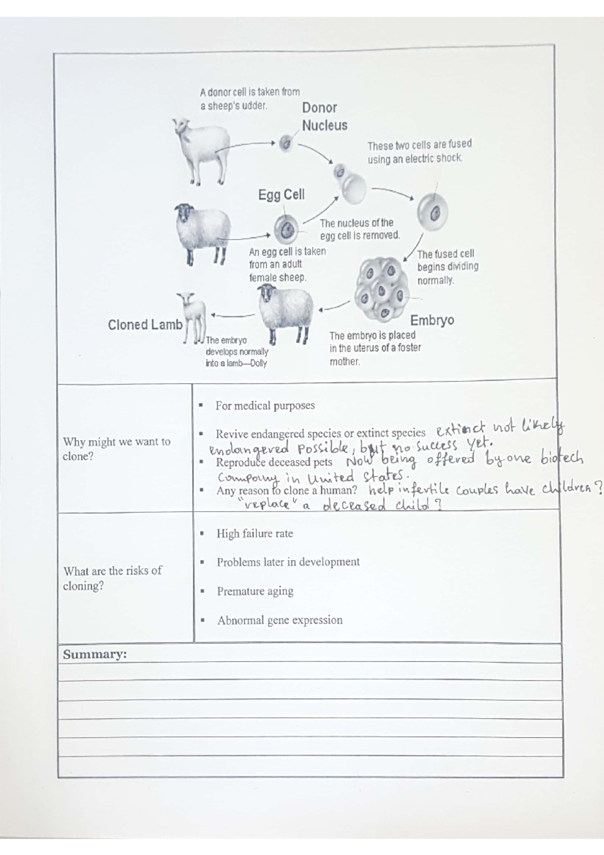 BIO 280 - Cloned Lamb, Egg Cell - BIO 280 - Studocu