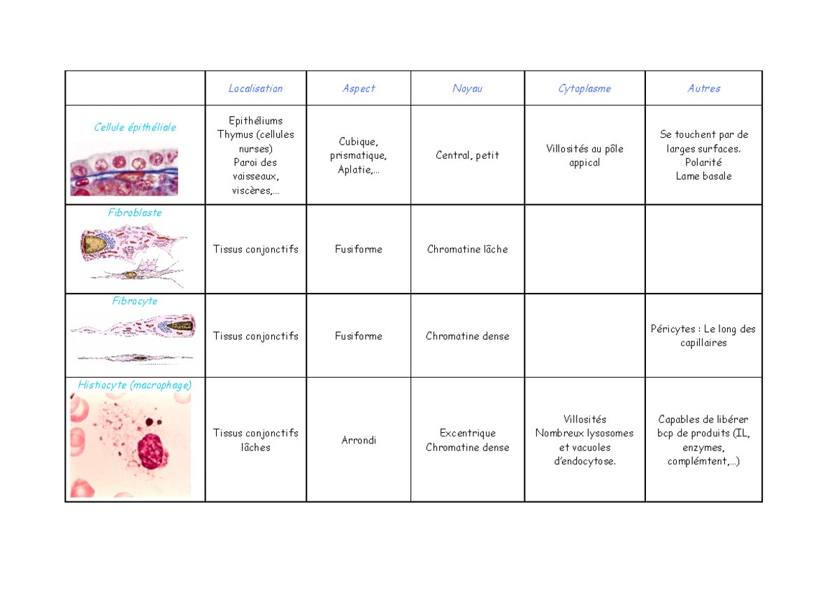 Notes de cours, cours 1-10 - types cellulaires - Localisation Aspect ...
