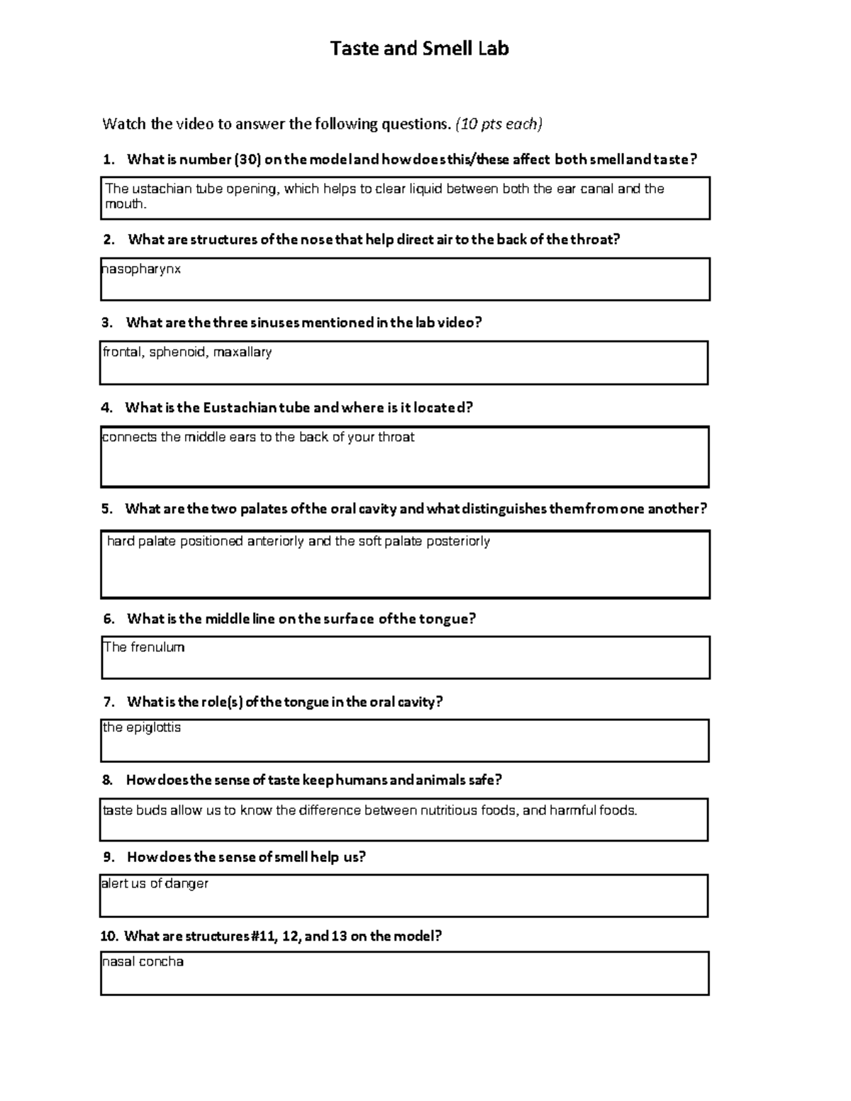Taste+and+Smell+Lab Student completed - Taste and Smell Lab What is ...