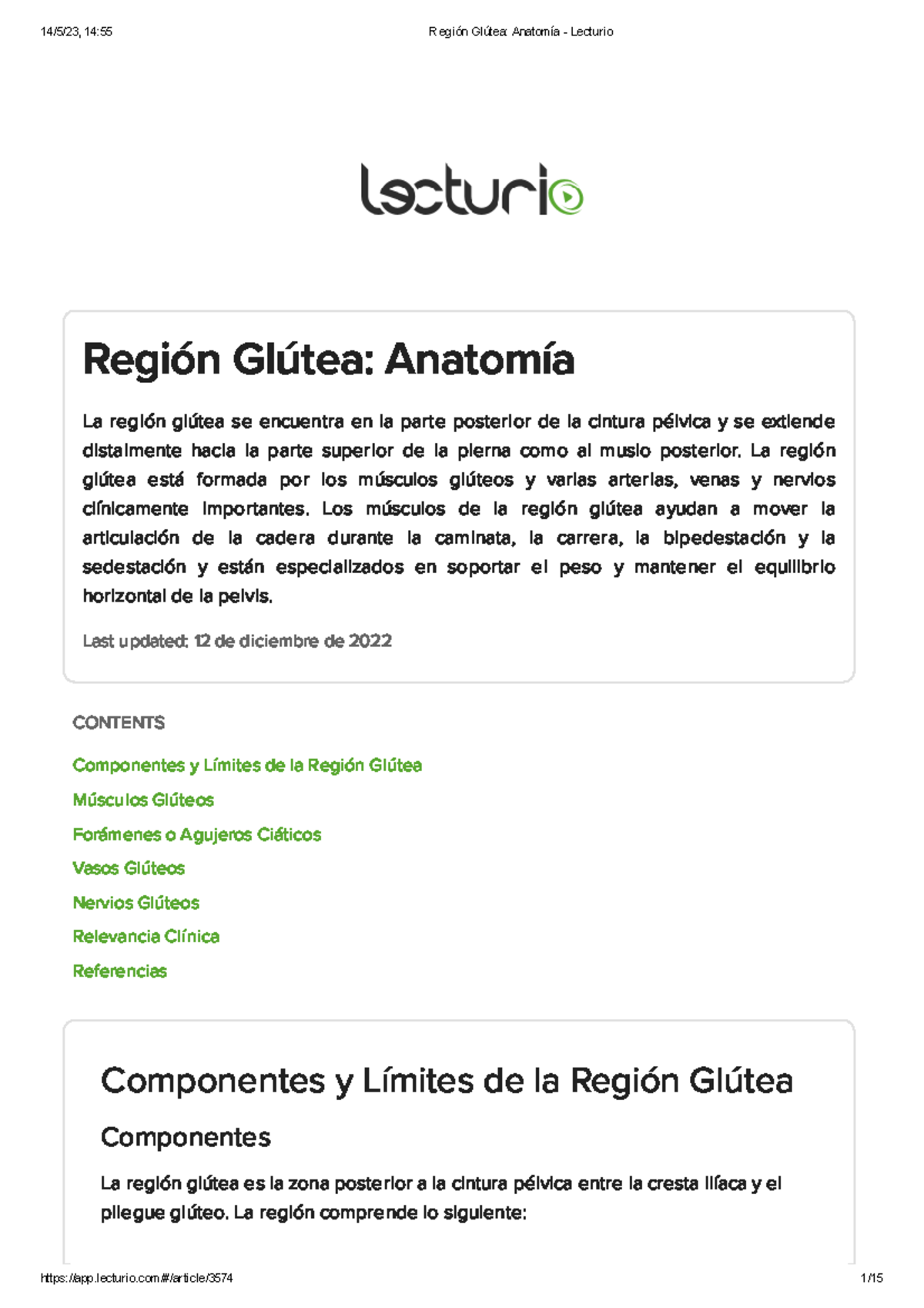 Región Glútea Anatomía - Región Glútea: Anatomía La región glútea se ...