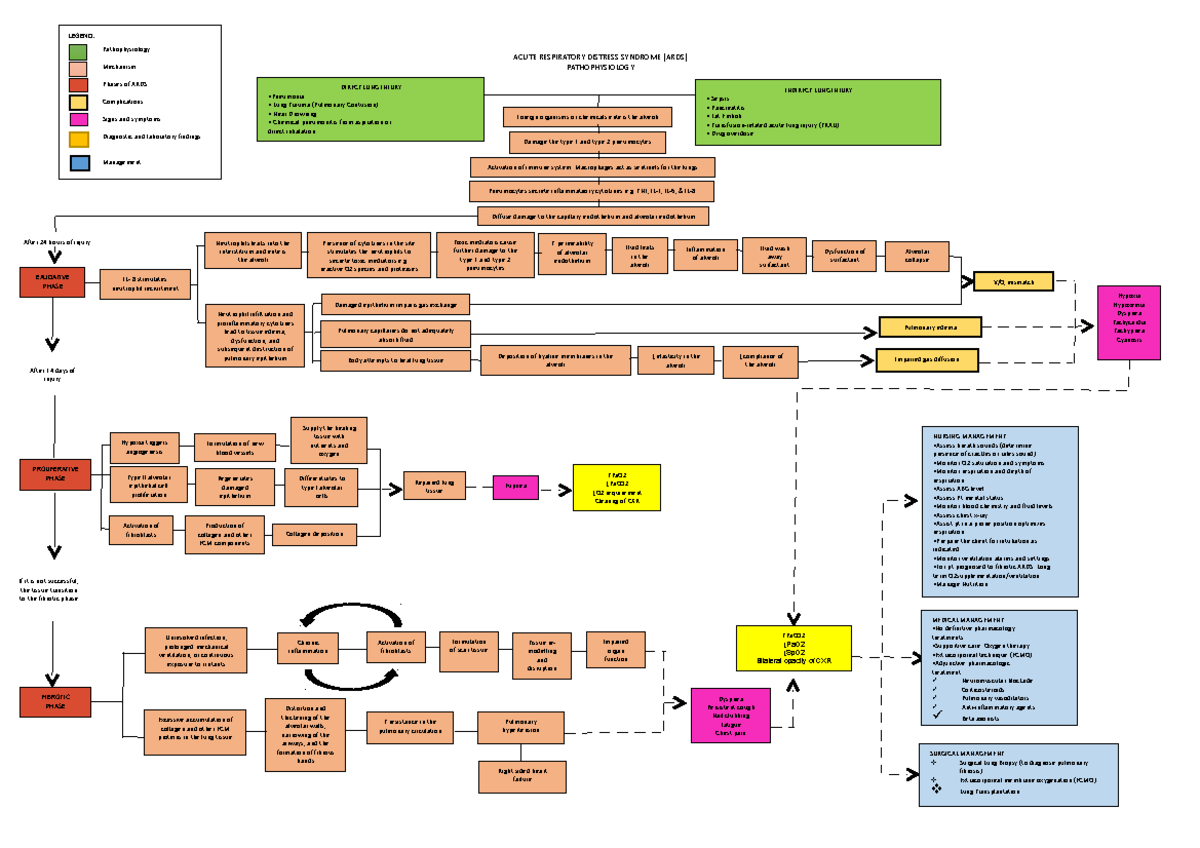 Patho ARDS - ACUTE RESPIRATORY DISTRESS SYNDROME (ARDS) PATHOPHYSIOLOGY ...