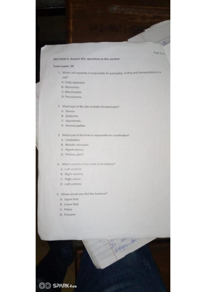 OSCE stations - Obstetrics and gynecology OSCE practice questions ...