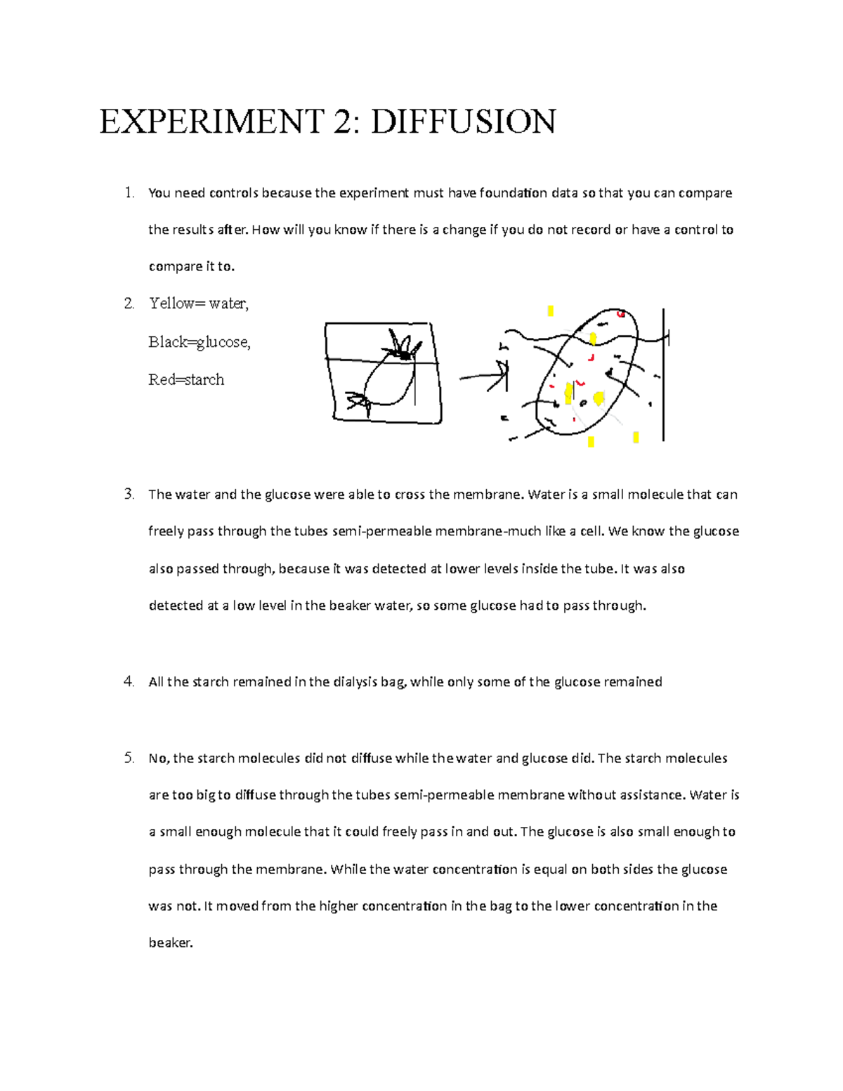 EXPERIMENT 2: DIFFUSION - EXPERIMENT 2: DIFFUSION 1. You need controls ...
