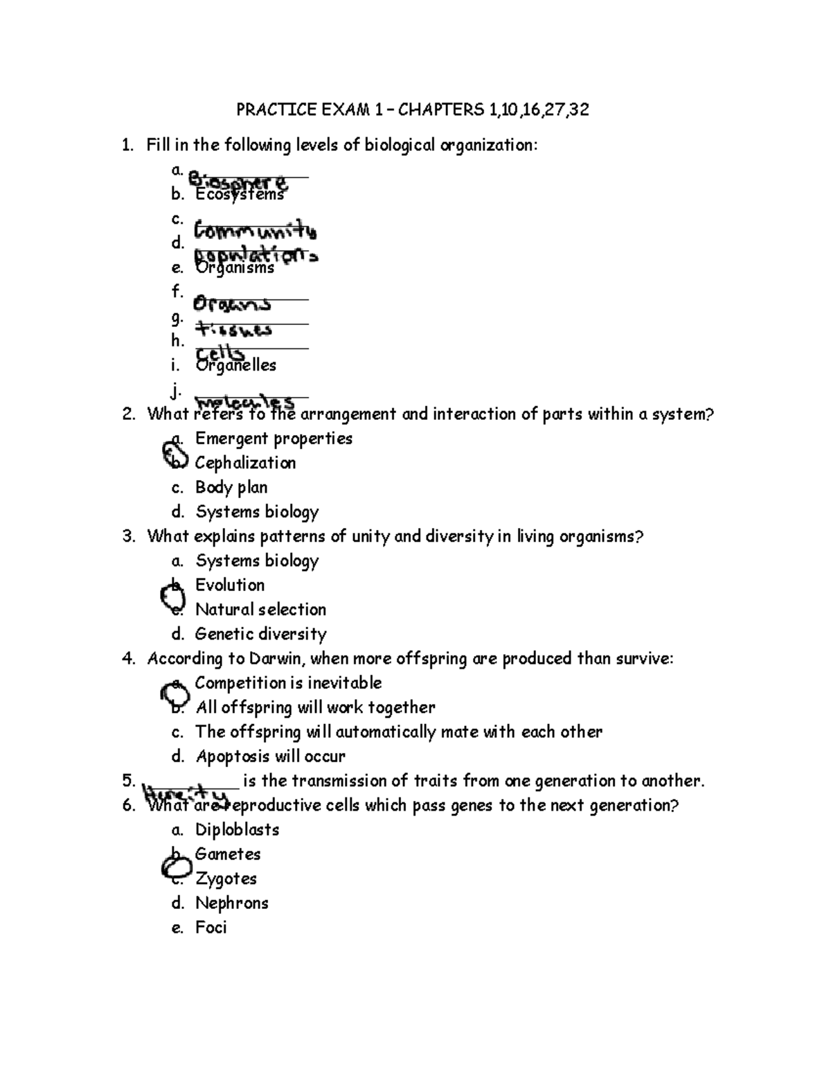 Practice Exam 1 (1) - PRACTICE EXAM 1 – CHAPTERS 1,10,16,27, Fill in ...